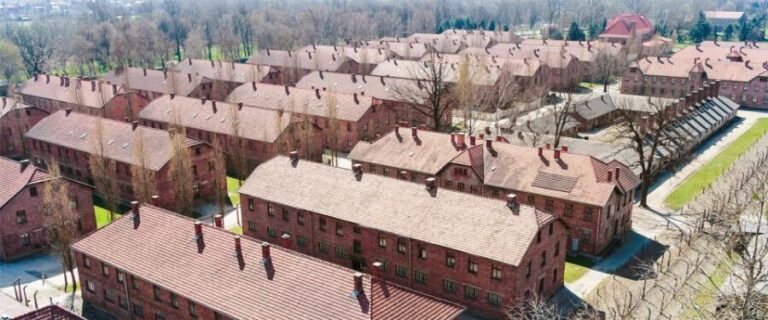 From Krakow: Auschwitz-Birkenau Tour with Transportation - The On-Site Experience: What You’ll See and Feel