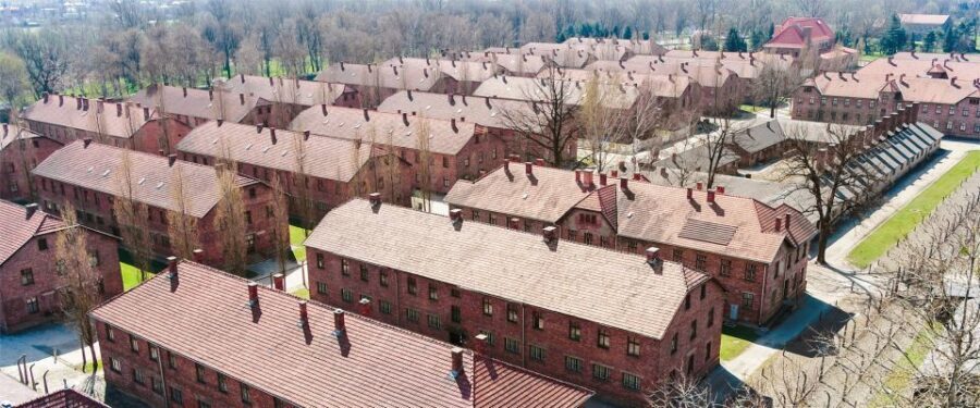 From Krakow: Auschwitz-Birkenau Tour with Transportation - The On-Site Experience: What You’ll See and Feel