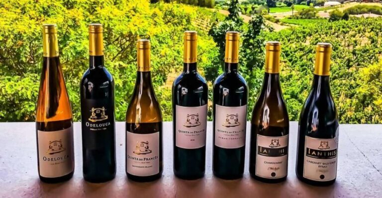 From Lagos: Small-Group 4-Hour Wine Tasting Tour - What Makes This Tour Stand Out