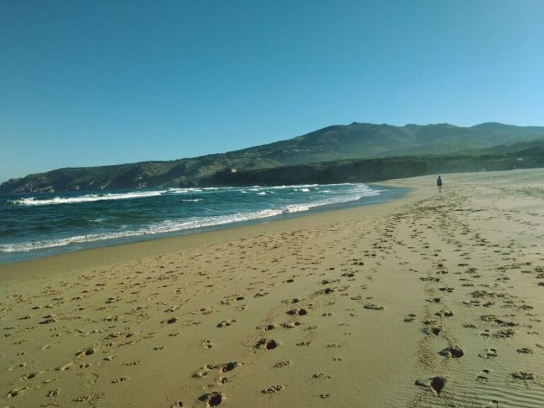 From Lisbon: Sintra and Cascais Natural Park Private Tour - Why This Tour Offers Strong Value for Money