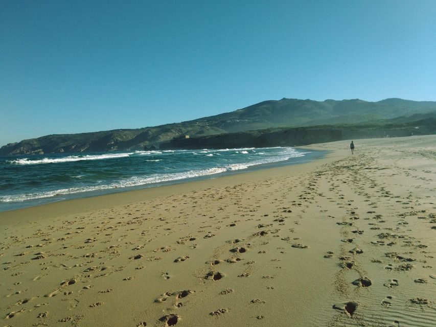 From Lisbon: Sintra and Cascais Natural Park Private Tour - Why This Tour Offers Strong Value for Money