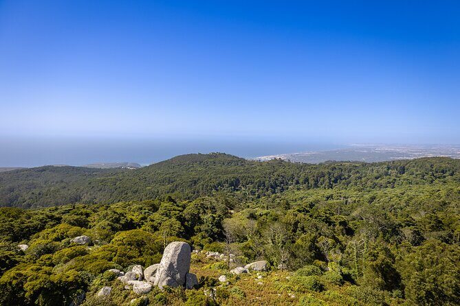 From Lisbon: Sintra, Pena Palace and Regaleira - Authentic Insights from Travelers