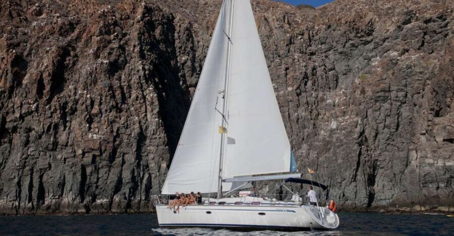 From Los Gigantes: Whale Watching Sailboat Cruise - The Practical Details