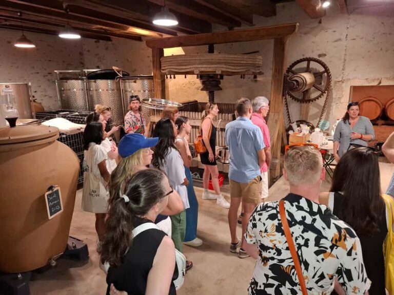 From Lyon: Beaujolais Wine Route Half-Day Tour - Transportation, Group Size, and Overall Experience