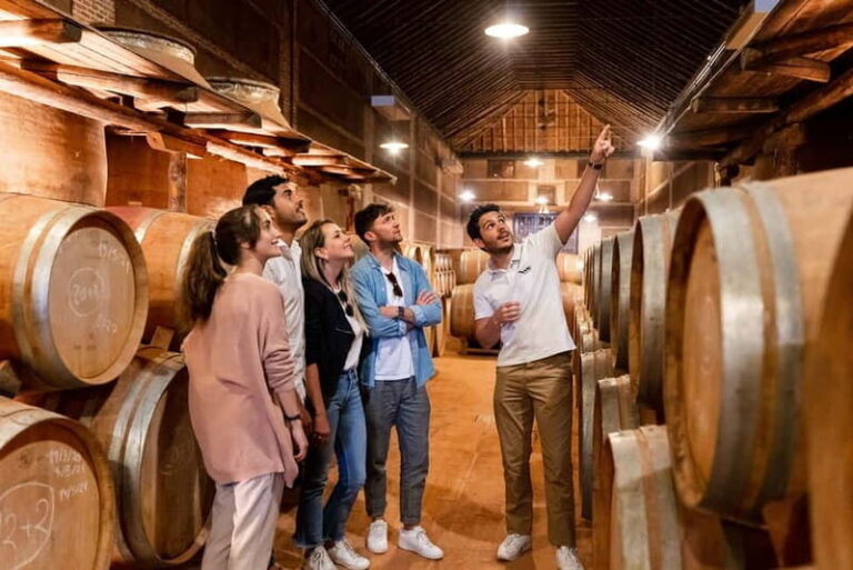 From Madrid: Toledo Guided Tour & Winery Visit with Tasting - Practical Considerations and Value