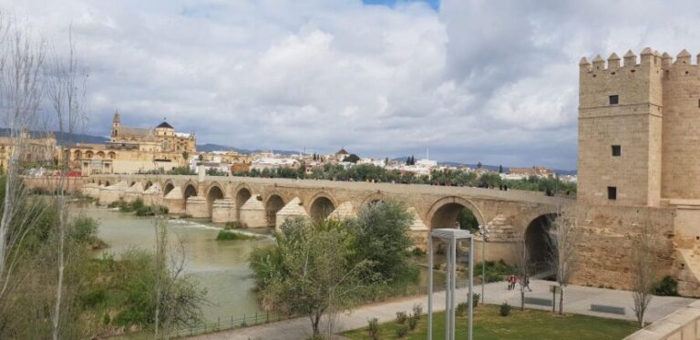 From Malaga and Costa Del Sol: Cordoba Day Trip - Who Will Love This Tour?