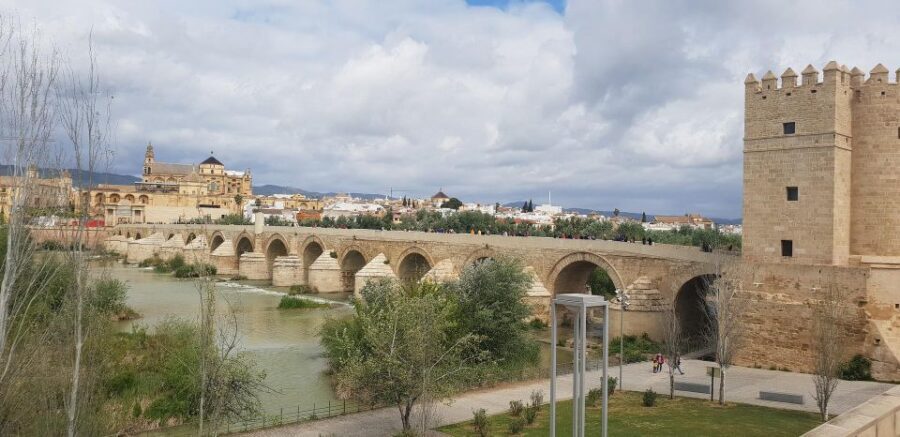 From Malaga and Costa Del Sol: Cordoba Day Trip - Who Will Love This Tour?