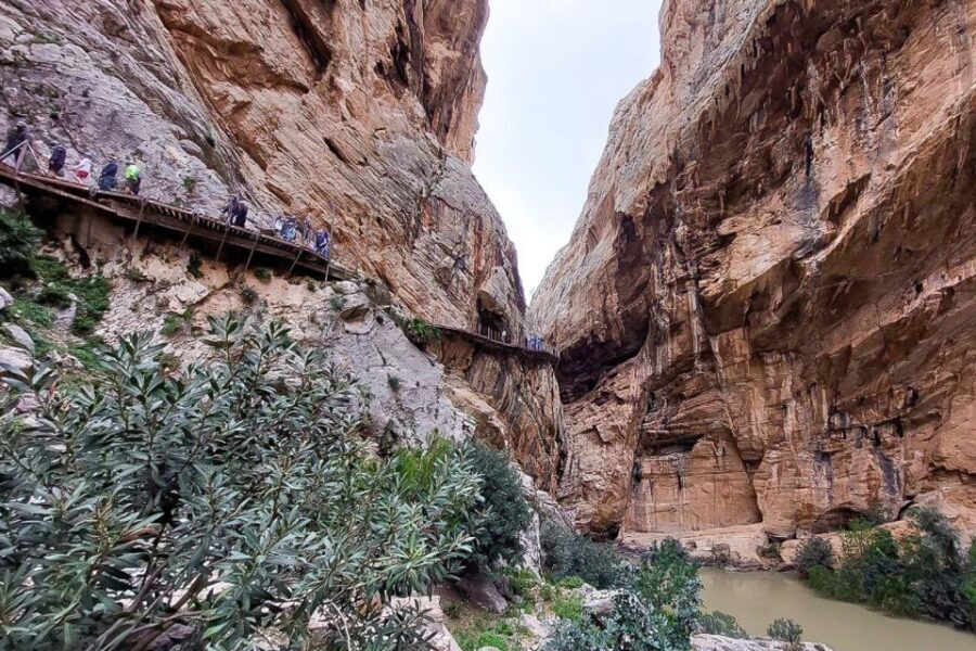 From Málaga: Caminito del Rey Guided Day Trip - The Experience: What You’ll Love