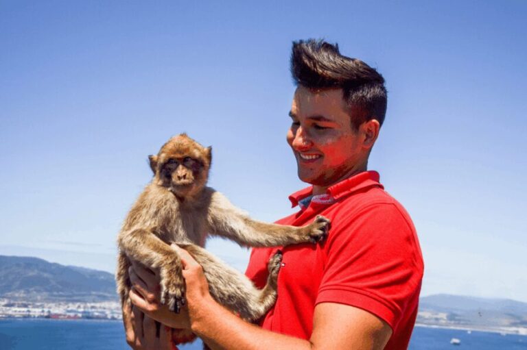 From Malaga: Full-Day Trip to Gibraltar - In-Depth Look at the Itinerary