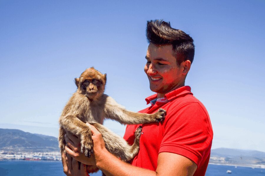 From Malaga: Full-Day Trip to Gibraltar - In-Depth Look at the Itinerary