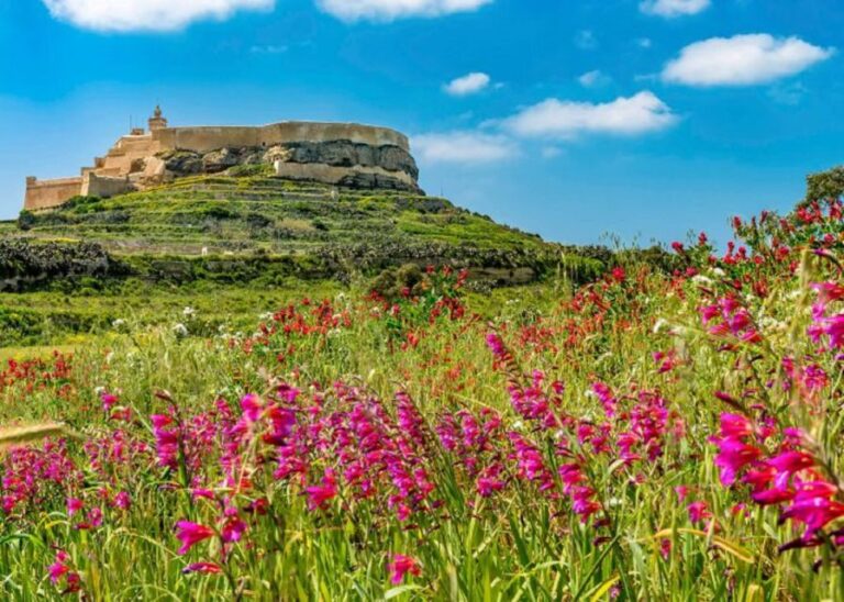 From Malta: Gozo Full-Day Tour with Guide, Temples, & Train - Transportation and Logistics: Making the Day Flow
