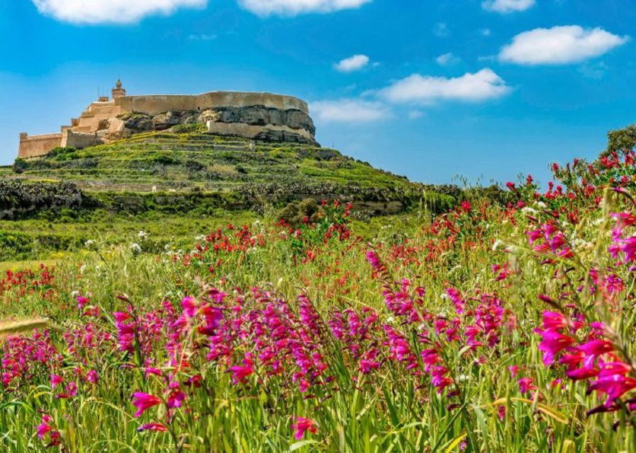 From Malta: Gozo Full-Day Tour with Guide, Temples, & Train - Transportation and Logistics: Making the Day Flow