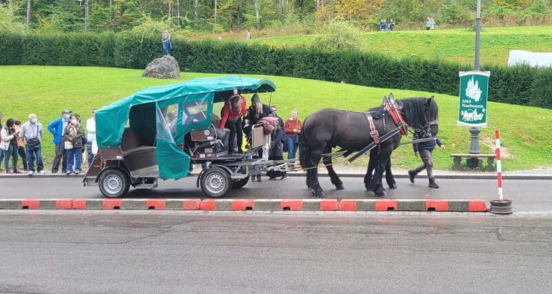 From Munich: Royal Fairytale Tour - Who Is This Tour Best Suited For?