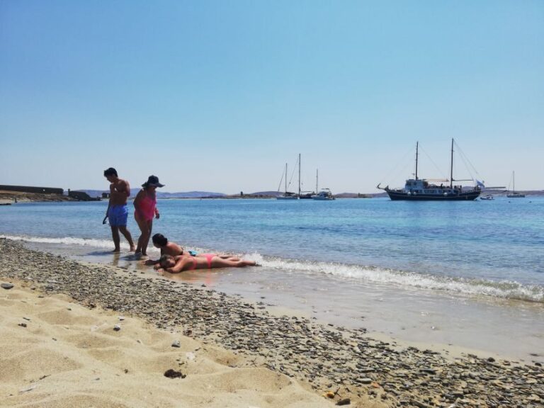 From Mykonos: Cruise to Delos and Rhenia with Lunch - Who Is This Tour Best For?