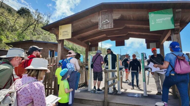 From Naples or Pompeii: Vesuvius Transfer and Entry Ticket - What You Get and What You Don’t