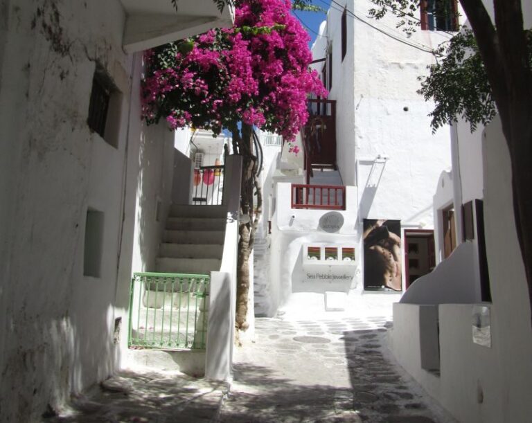 From Naxos: Delos and Mykonos Full-Day Boat Trip - Overall Experience and Value