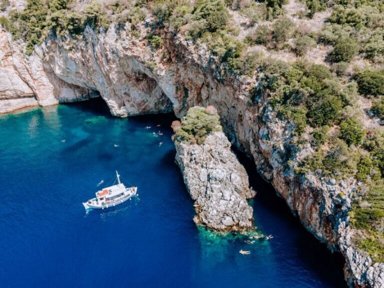 From Nidri: Marine Wildlife Cruise with Lunch and Swim Stops - Who Is This Tour Best For?