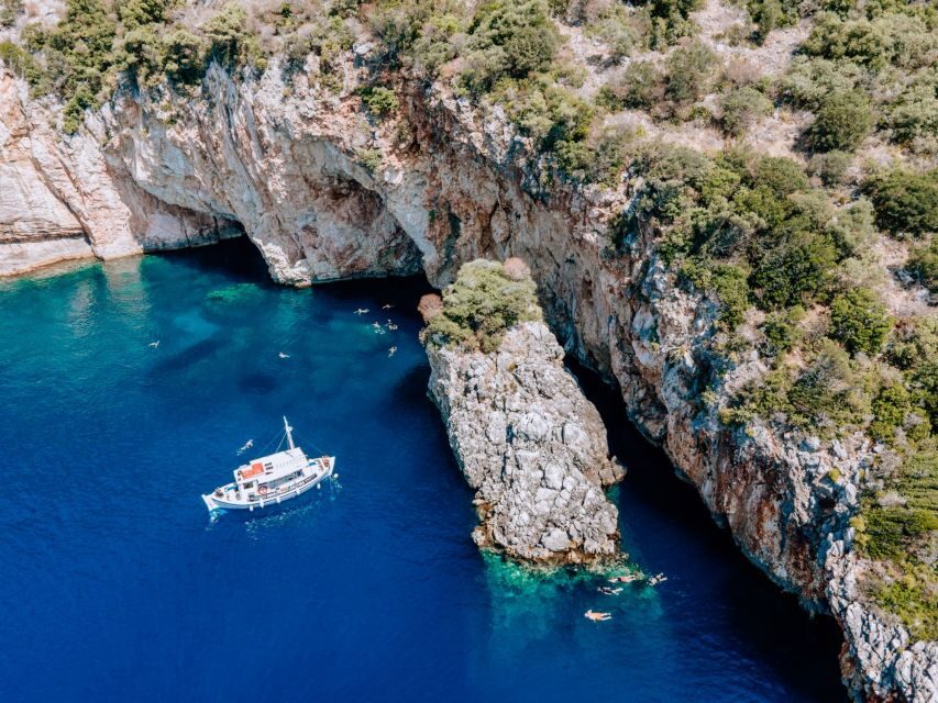 From Nidri: Marine Wildlife Cruise with Lunch and Swim Stops - Who Is This Tour Best For?