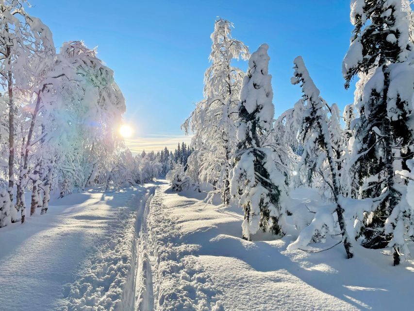 From Oslo: Oslomarka Forest Guided Snowshoeing Tour - Practical Details and Value