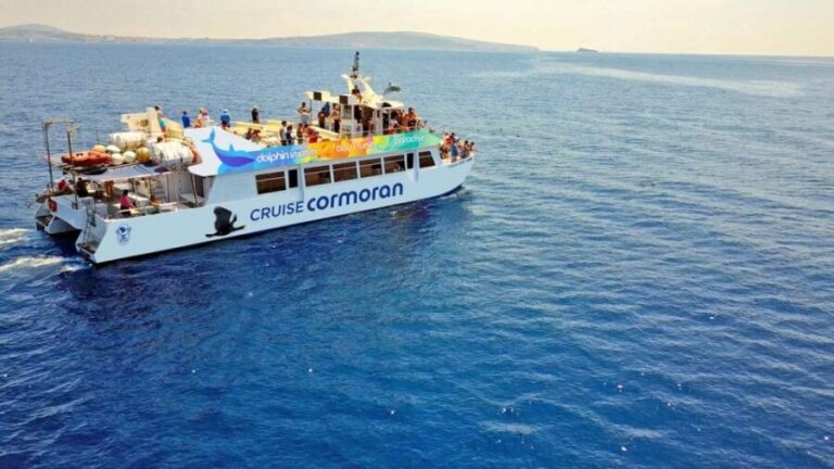 From Paguera: Dolphin Watching Cruise in a Glass-Bottom Boat - Who Will Love This Tour?