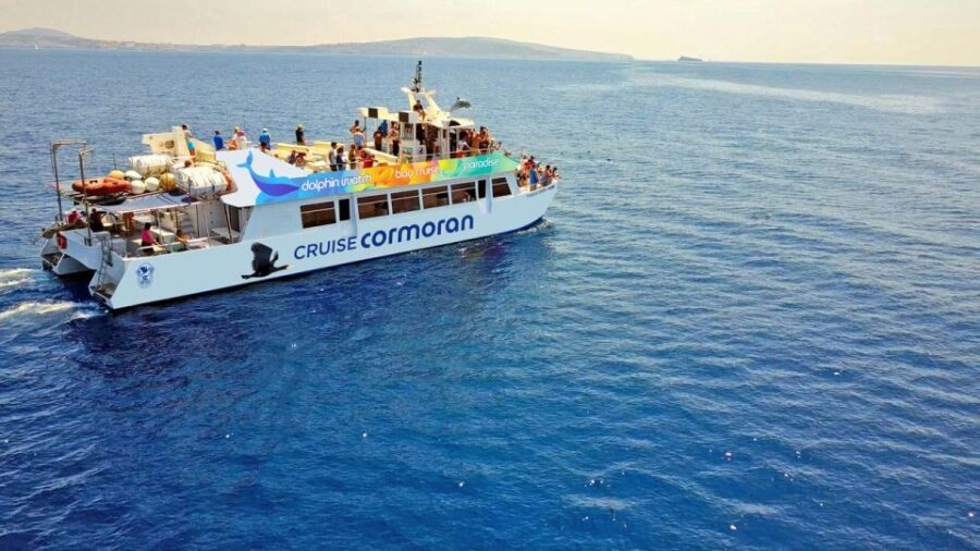From Paguera: Dolphin Watching Cruise in a Glass-Bottom Boat - Who Will Love This Tour?