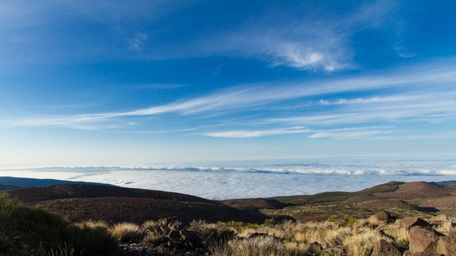 From Playa de las Américas: Full-Day Teide Jeep Safari - Food and Rest Stops
