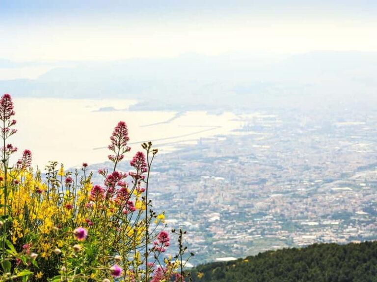 From Pompeii: Mount Vesuvius Hike & Tour by Bus - Who Will Love This Tour?