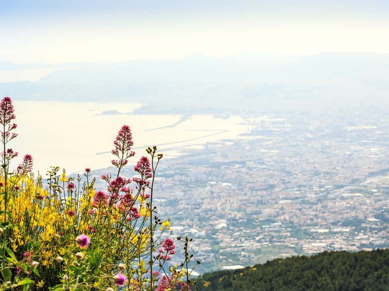 From Pompeii: Mount Vesuvius Hike & Tour by Bus - Who Will Love This Tour?