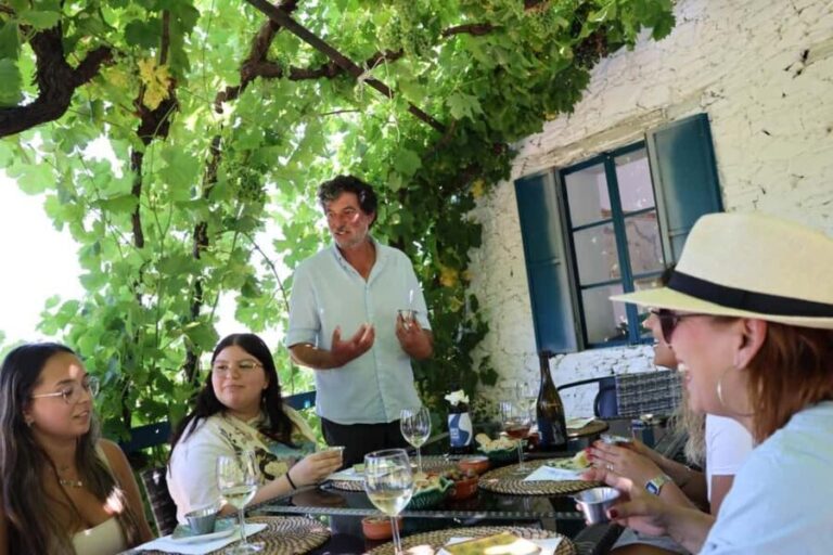 From Porto: 2 Boutique Wineries w/ Winery Lunch & 1-h cruise - Final Thoughts