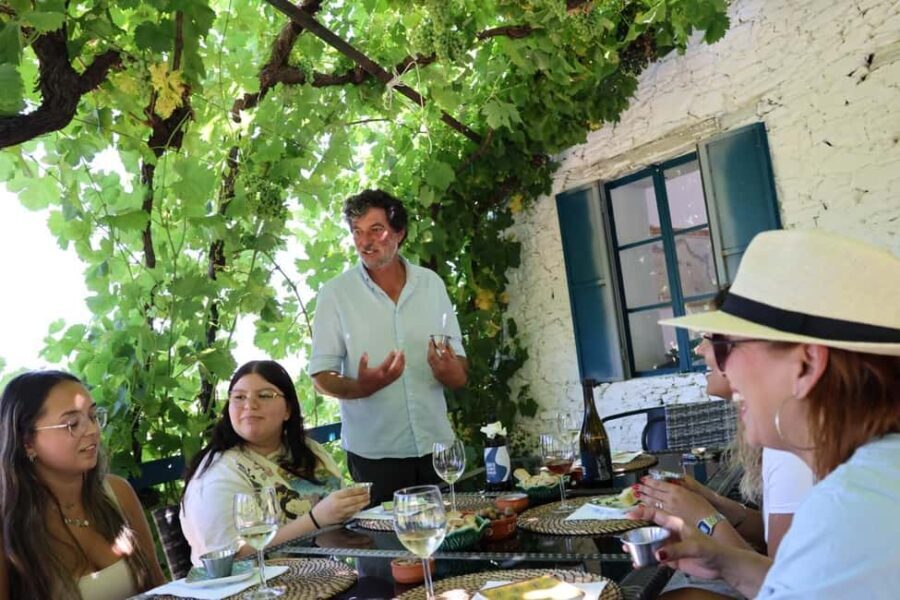 From Porto: 2 Boutique Wineries w/ Winery Lunch & 1-h cruise - Final Thoughts