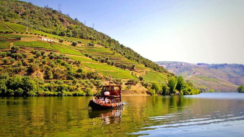 From Porto: 2 Wine Regions, Farm Lunch, and Boat Ride - What Travelers Are Saying