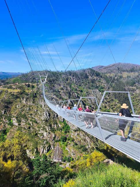 From Porto: Aveiro, Paiva Walkways, & Suspension Bridge Tour - Why This Tour Works for You