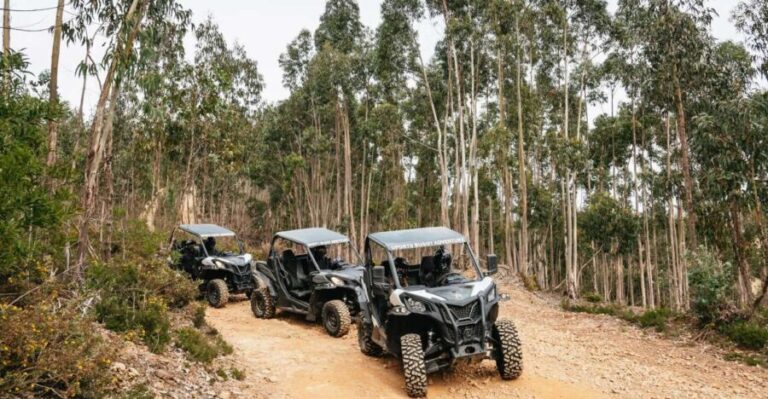 From Porto: Off-Road Buggy Adventure - Who Will Love This Tour?