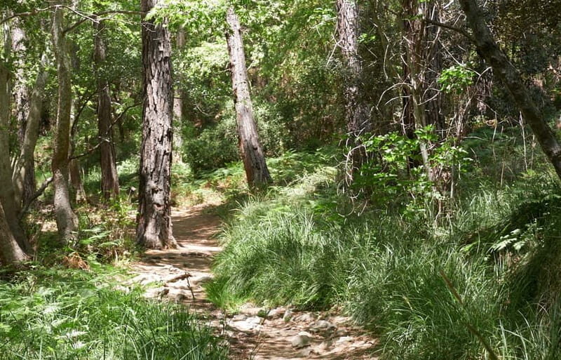 From Protaras: Full-Day Grand tour Jeep Safari with Lunch - Who Should Consider This Tour?