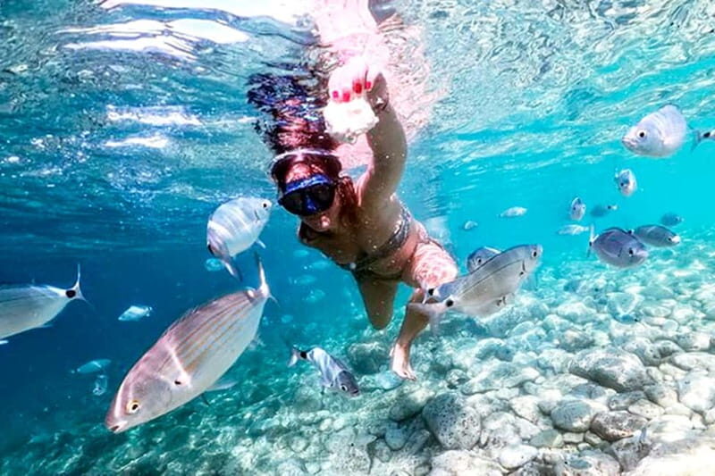 From Pula: Island Stop and National Park Day Cruise - Practical Tips to Maximize Your Experience