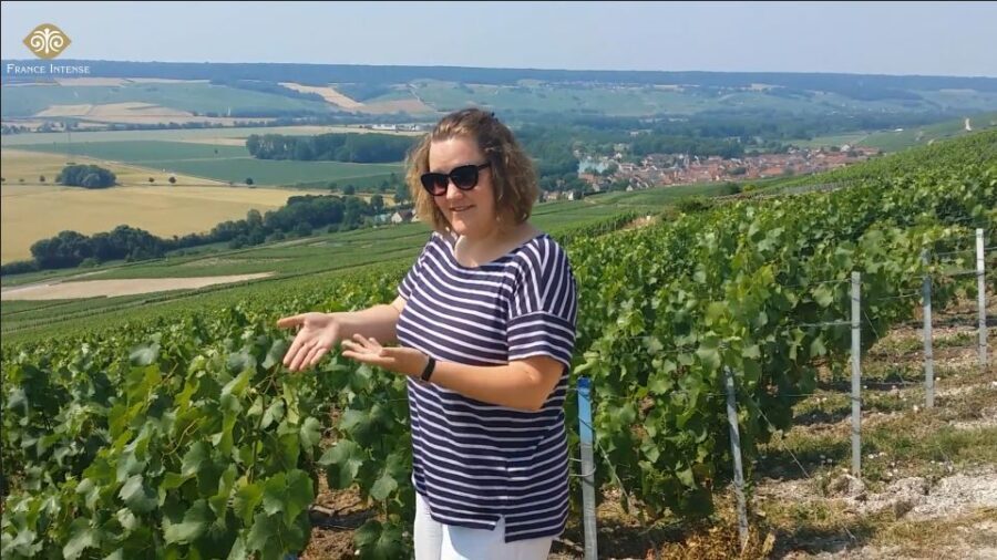 From Reims: Champagne Day Trip to 3 Family Domains & Lunch - Exploring the Itinerary