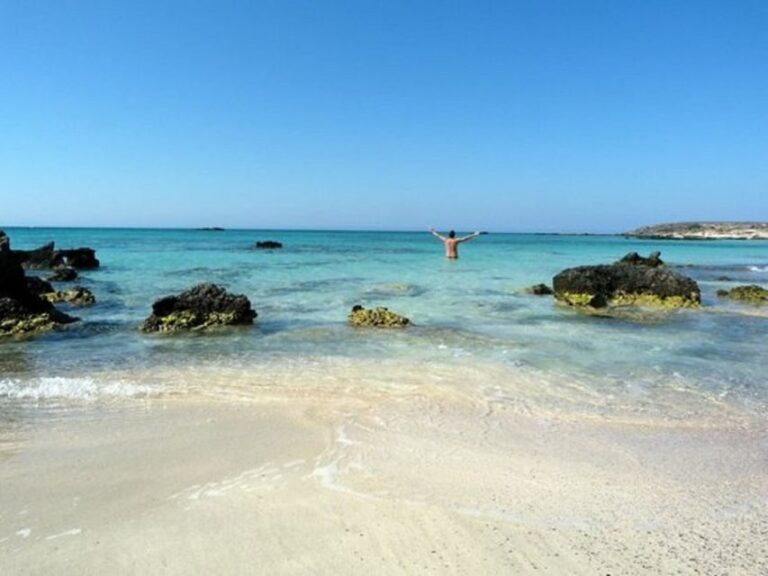 From Rethymno & Chania: Elafonisi Island Day Tour by Bus - What Makes This Tour Stand Out