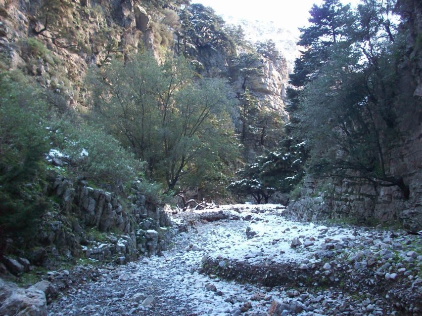 From Rethymno: Imbros Gorge & Libyan Guided Sea Tour - Transport, Guides, and Value