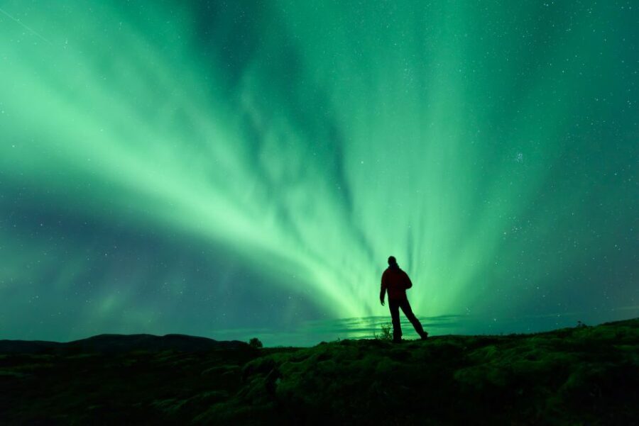 From Reykjavik: Blue Lagoon and Northern Lights Tour - Who Should Consider This Tour?