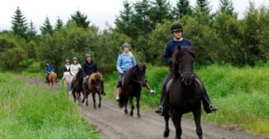 From Reykjavik: Full-Day Horse Riding & Golden Circle Tour - The Value of This Tour