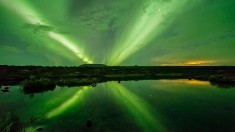From Reykjavik: Northern Lights Boat Cruise - The Experience on Board: What to Expect