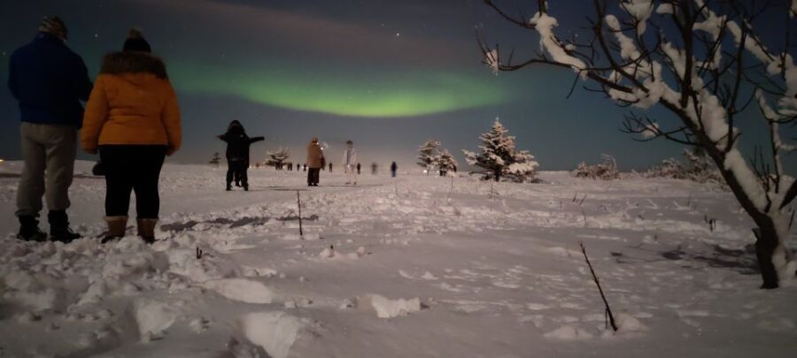 From Reykjavik: Northern Lights Chase with Expert Guide - Transportation & Duration
