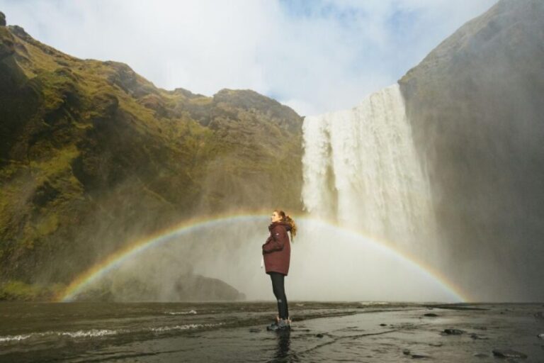 From Reykjavík: Waterfalls, Black Beach & Glacier Day Trip - Transport, Timing, and Group Size