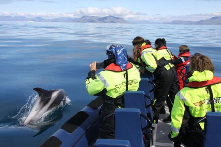 From Reykjavik: Whale Watching Tour by Speedboat - The Itinerary in Detail