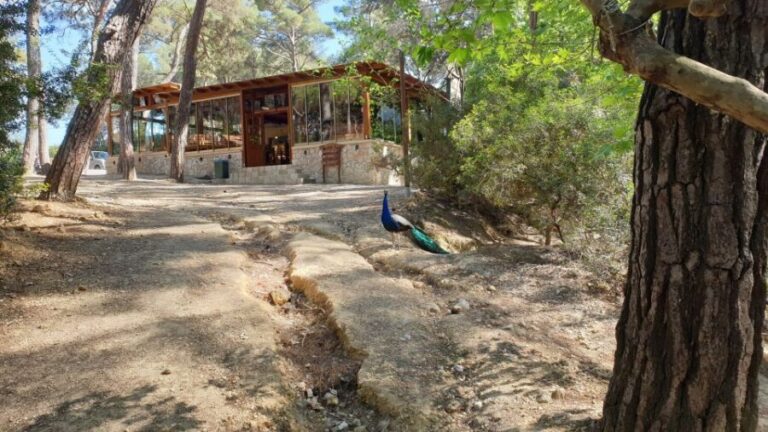 From Rhodes: Lindos and 7 Springs Valley Bus Tour - The Water and Nature of 7 Springs Valley