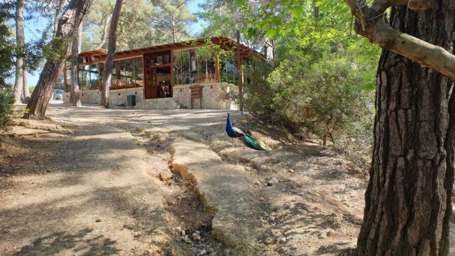 From Rhodes: Lindos and 7 Springs Valley Bus Tour - The Water and Nature of 7 Springs Valley