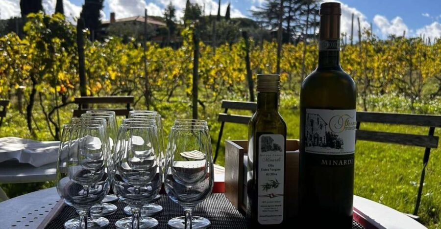 From Rome: Half-Day Frascati Wine Tour with Farmhouse Lunch - The Experience’s Value and Practicalities