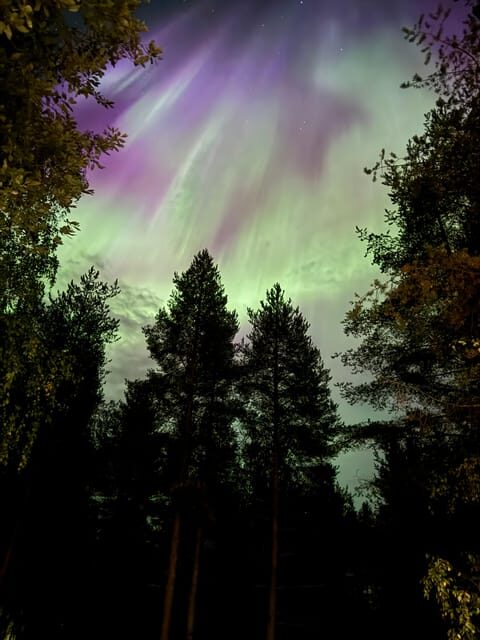 From Rovaniemi: Northern Lights Tour with Campfire Snacks - The Real Value of this Tour