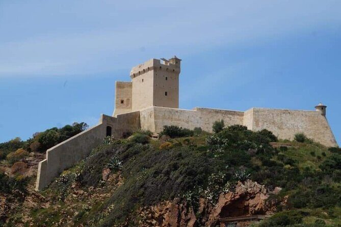 From Sagone/Cargèse: Scandola Calanques Piana Girolata Swimming - Practical Considerations for Travelers