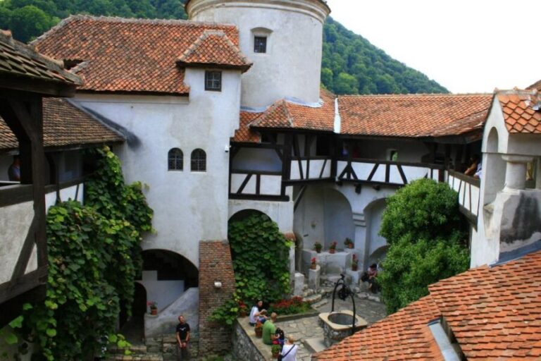 From Sibiu: Day Tour to Brasov and Dracula's Castle - An In-Depth Look at the Tour Experience